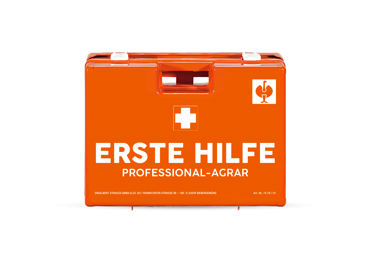 Erste-Hilfe-Koffer Professional | Strauss
