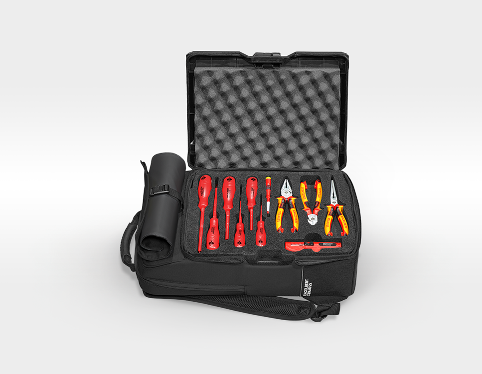 Einlage Elektro Classic + STRAUSSbox Rucksack schwarz | Strauss