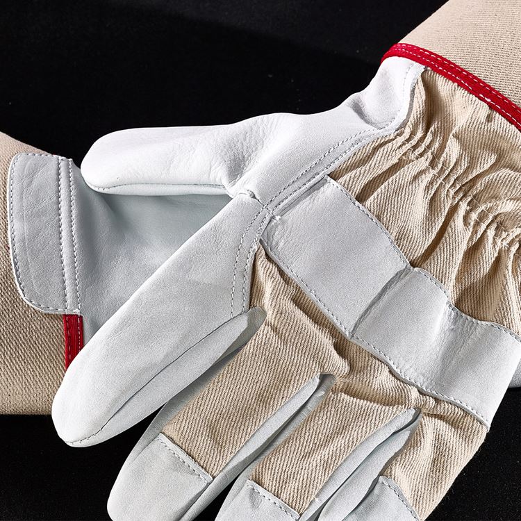 Handsker af fuldlæder Phoenix | Strauss