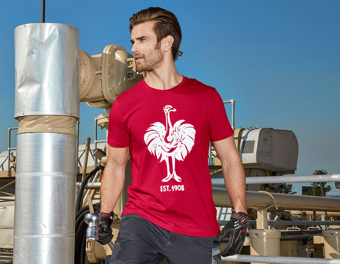e.s. T-shirt 1908 fiery red/white | Strauss