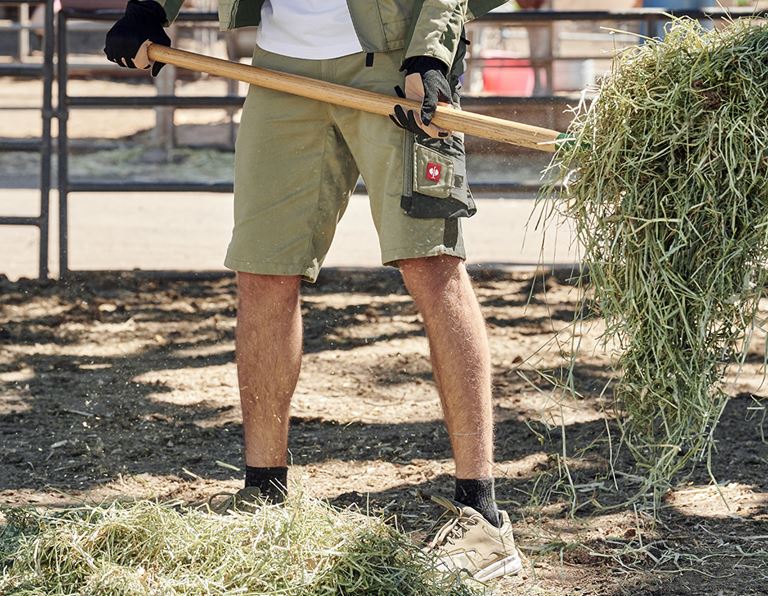 Shorts e.s.motion reed/moss | Strauss